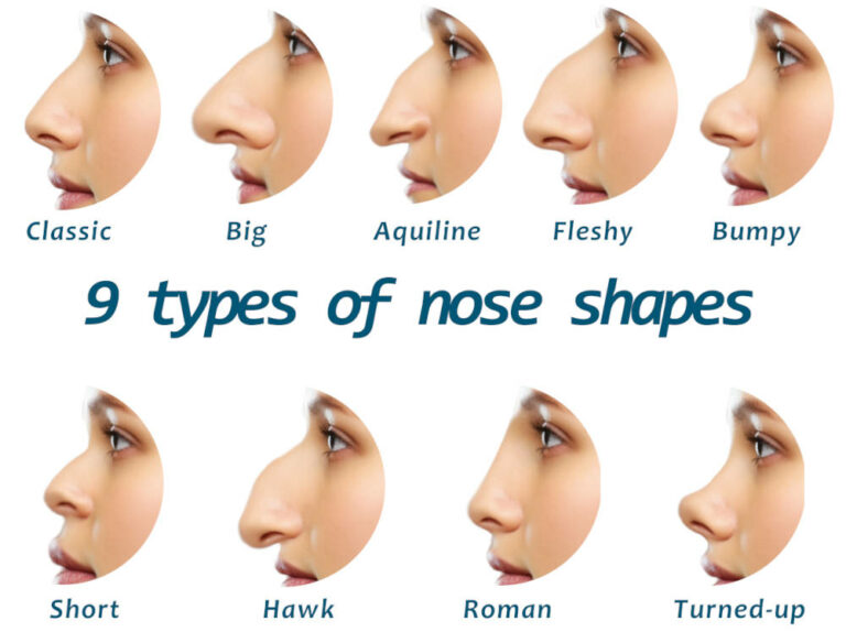 Types and shapes of noses - Surgical before-and-after simulator